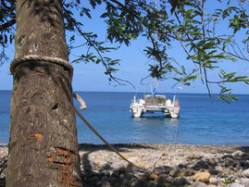 Weltumsegler Stefan Ramin tot. Kannibalismus fraglich | SegelReporter