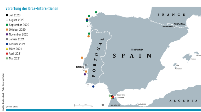 Angriffe Orca Karte | SegelReporter