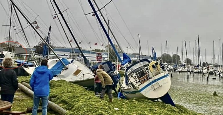 Die Sache mit den Sachverständigen: Wie Segler-Anwalt Ole Hecht das Thema sieht – SegelReporter