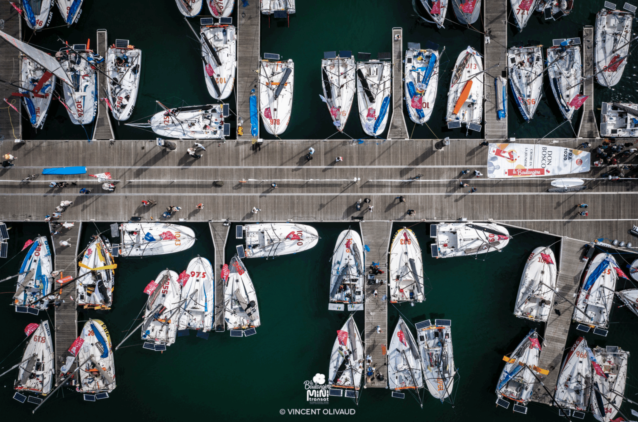 25. Mini-Transat: 90 6.50er am Start – drei Deutsche dabei, einer mit ...